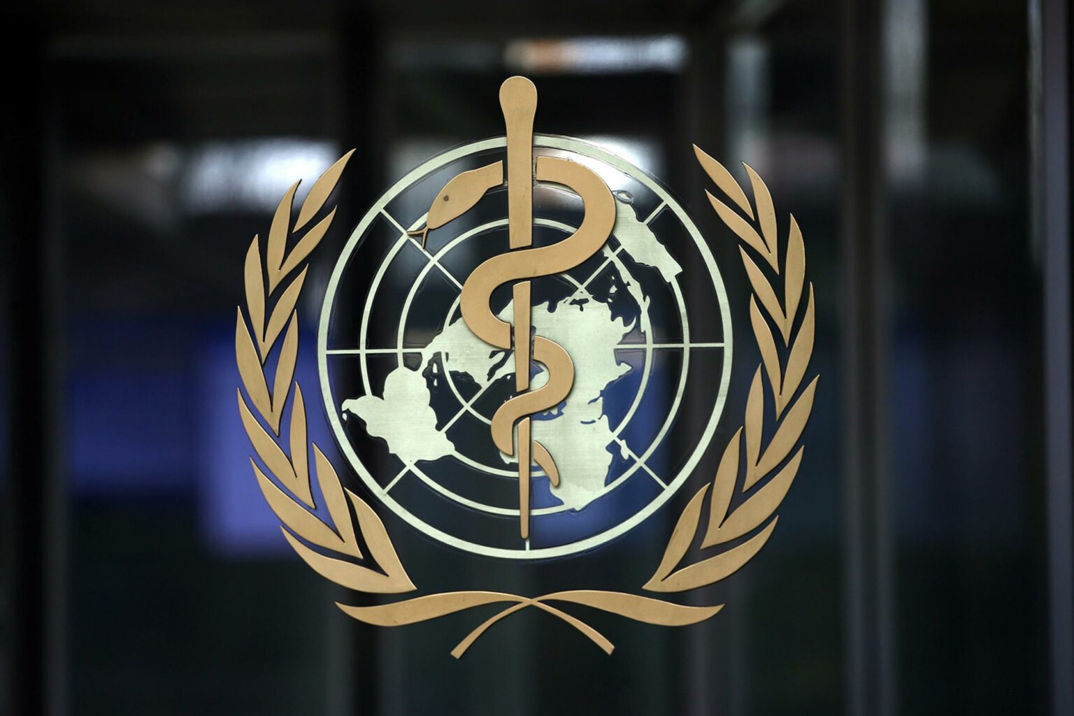 WHO Announces First Ebola Recovery In DR Congo Outbreak - Gatekeepers News