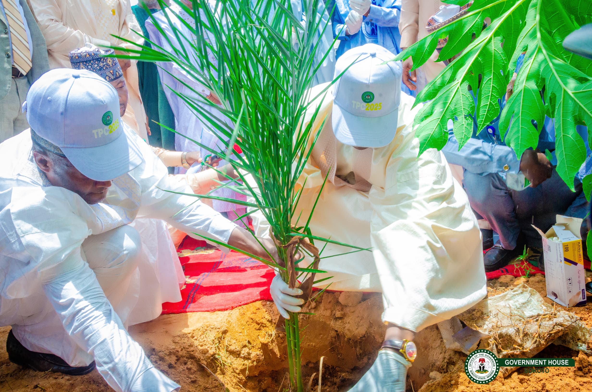Gov Aliyu Flags Off 2025 Tree Planting Campaign - Calls For Collective ...